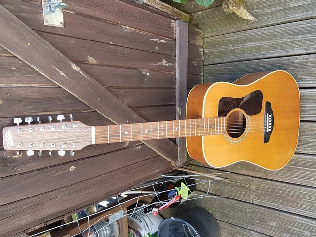 WOTAN W12-12 AKUSTIK Gitarre Japan EUR 66,50 - PicClick DE