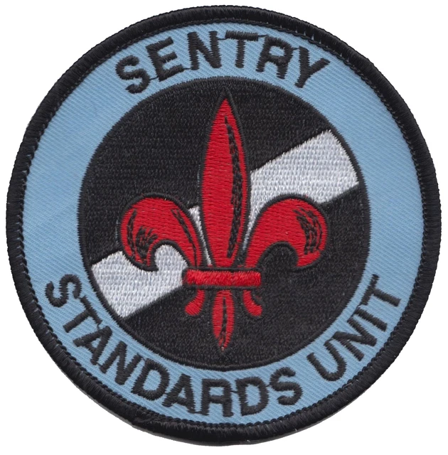 ROYAL AIR FORCE Raf Boeing E-3 Sentry Standards Unité Patch Brodé un ...