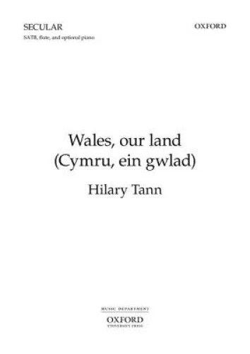 WALES, OUR LAND (Cymru, ein gwlad) by Hilary Tann EUR 10,96 - PicClick FR