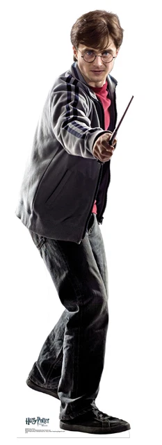 SC-670 HARRY POTTER Hauteur 174cm Panneau De Carton Figurine EUR 63,53 ...