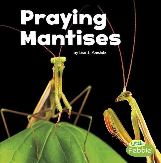 PRAYING MANTISES BY Lisa J. Amstutz (English) Paperback Book EUR 18,04 ...