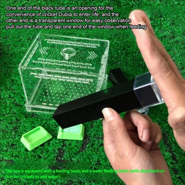 REPTILES TANKS BOX Including Water Container Observation Window for ...