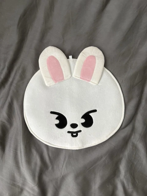STRAY KIDS LEE Know Leebit Skzoo Fan Picket Cover £23.56 - PicClick UK