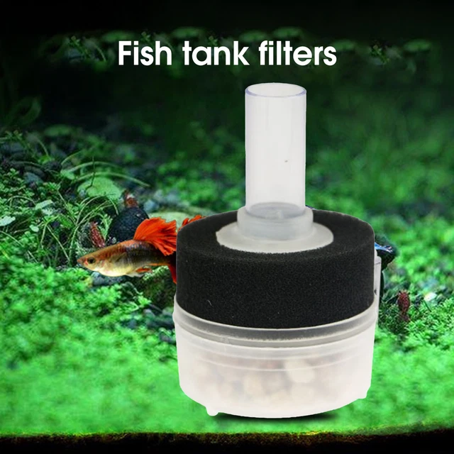 FILTER PUMP RUSTPROOF Water Absorbent Transparent Design Water Pump ...