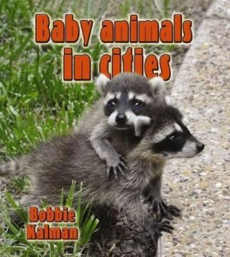 BOBBIE KALMAN BABY Animals in Cities (Poche) Habitats of Baby Animals ...
