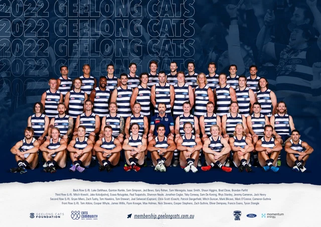 GEELONG CATS AFL football team poster,BIG, 420x300,Sydney swans,Pies ...