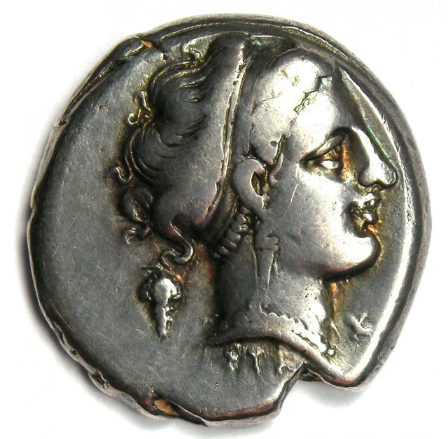CAMPANIA NEAPOLIS AR Silver Didrachm Nomos Coin 320-300 BC - VF (Very ...
