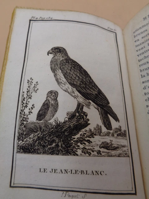 HISTOIRE NATURELLE DE Buffon OISEAUX T1 Autour Busard Griffon Milan ...