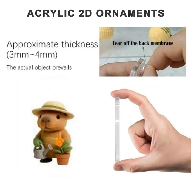 2025 CAPYBARA ADVENT Calendar Christmas 24 Days Advent Countdown ...