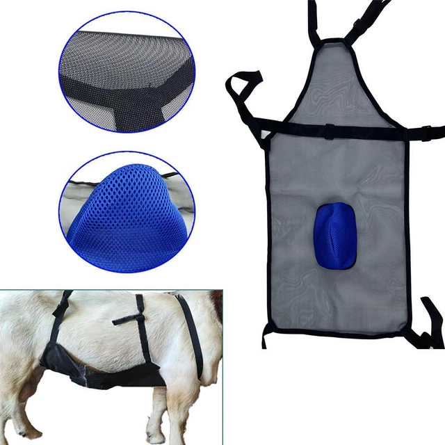 ANTI MATING ANTI Breeding Aprons with Control Harness for Goats Sheep ...