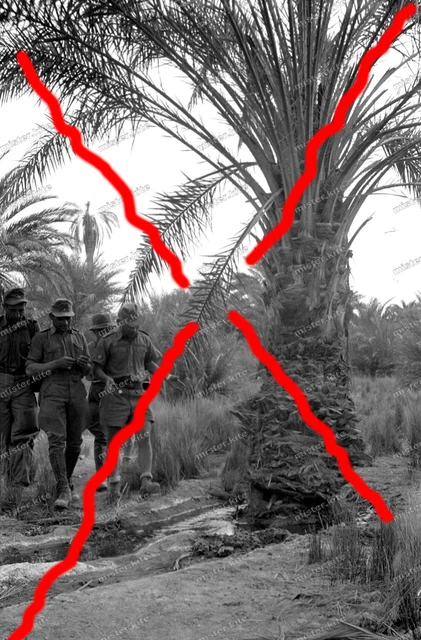 NEGATIV-MARADA-LIBYEN-2.GEBIRGSJÄGER-KOMPANIE-SONDERVERBAND-288-AFRIKA ...