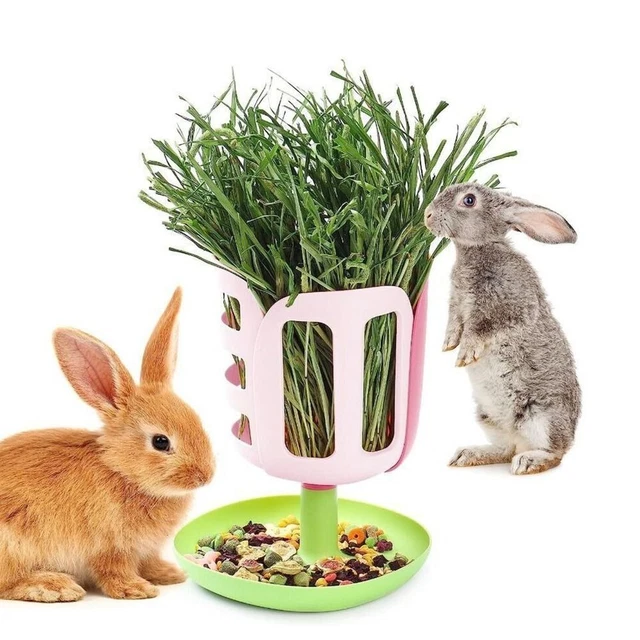 PLASTIC RABBIT FOOD Feeder 2 in 1 Feeder Rack New Feeding Bowls Rabbit ...