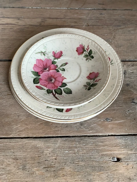 VINTAGE BREXTON PICNIC Set 1950’s- 2 plates & 2 saucers - spares 4 ...