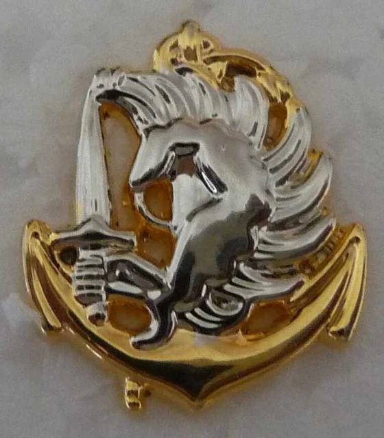 PIN'S MILITAIRE DE L'insigne De Beret Para-Colo EUR 8,00 - PicClick FR