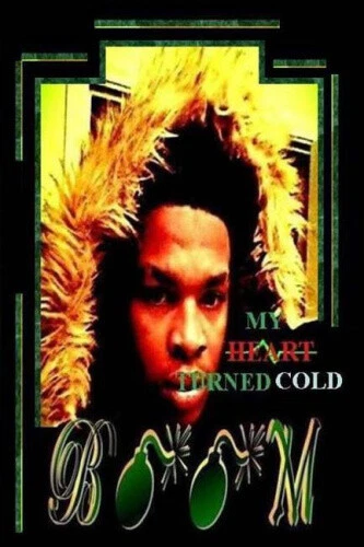 MY HEART TURNED Cold by Evans Jr, Willie James NEUF EUR 28,63 - PicClick FR