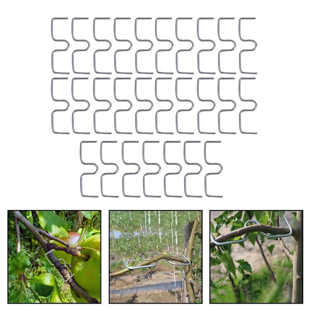 EFFECTIVE FRUIT TREE Branch Support Enhances Growth and Prevents Damage ...