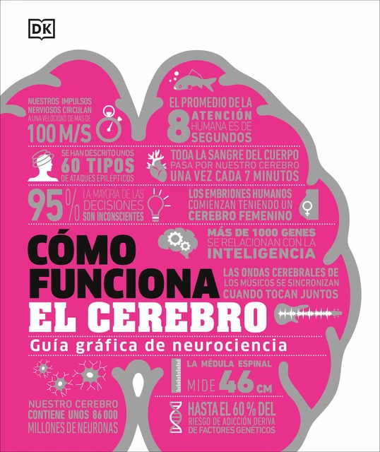 CÓMO FUNCIONA EL cerebro (How the Brain Works) (Relié) DK How Stuff Works EUR 32,63 - PicClick FR