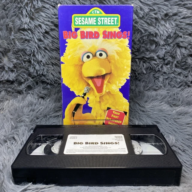 SESAME STREET: BIG Bird Sings! VHS Tape 1995 Sony Wonder Cartoon Show ...