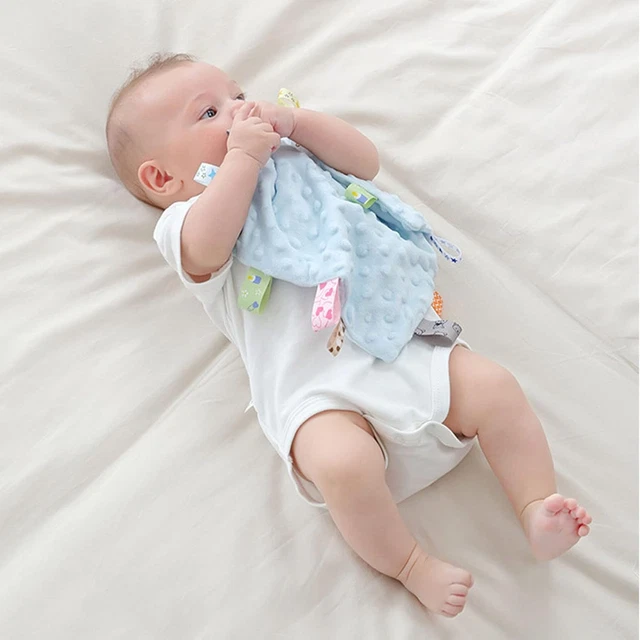 BABY TAGS SECURITY Blanket -Baby Soothing Plush Blanket with Colorful ...