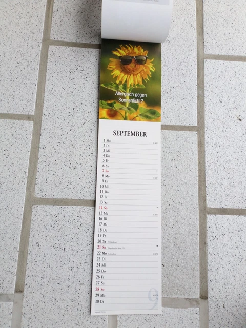 KALENDER 2025 WANDKALENDER 2025 Monatskalenderkalender 2025 der ...