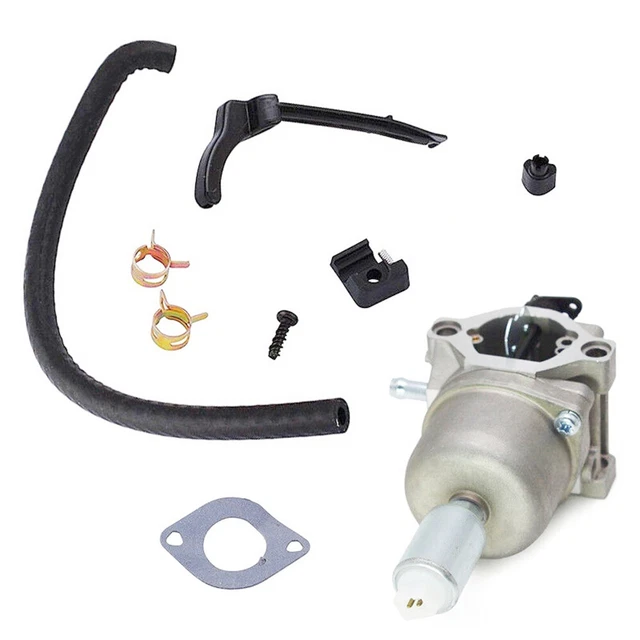 CARBURATEUR POUR BRIGGS & Stratton 313707 313777 405777 406777 407777 ...