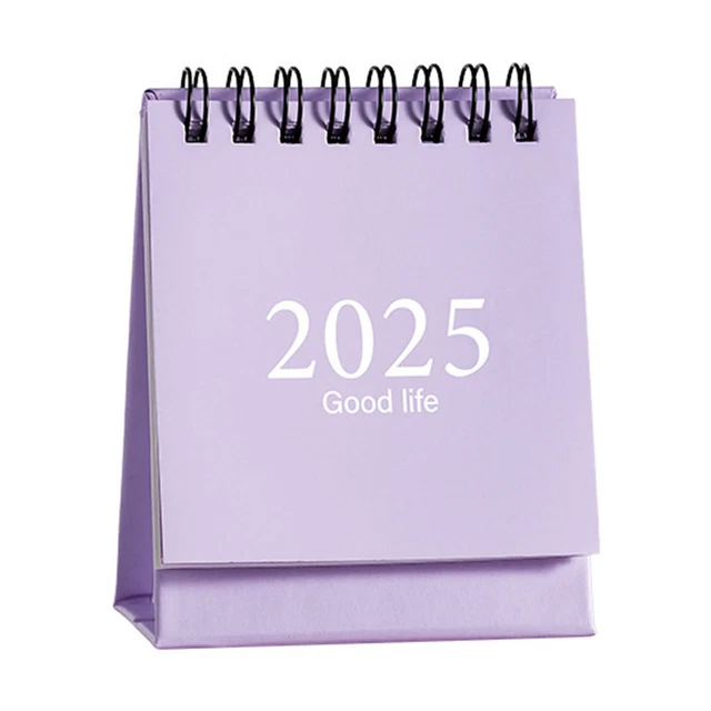 METAL DOUBLE COIL Calendar Desk 2025 Annual Planner Book Cute Organizer ...