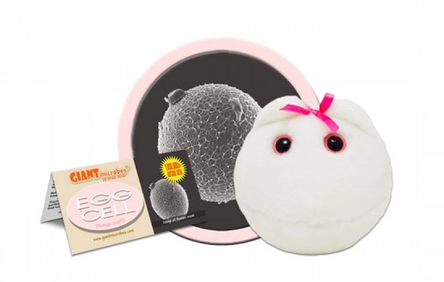 GIANT MICROBES EGG Cell (Human Ovum) £12.95 - PicClick UK