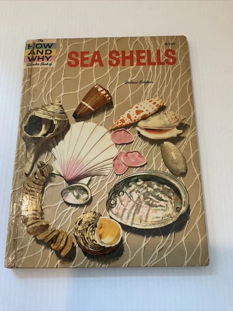 HOW AND WHY Wonder Book of SEA SHELLS 1961 - Hardcover School Edition ...