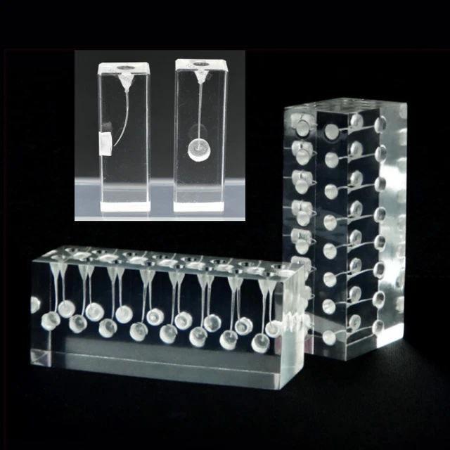 DENTAL RCT FILES Blocks Endo Root Training Block Model Fits VDW EDDY ...