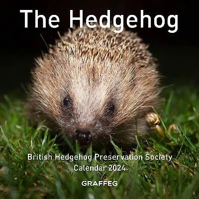 THE HEDGEHOG CALENDAR 2024, British Hedgehog Prese EUR 11,15 - PicClick DE