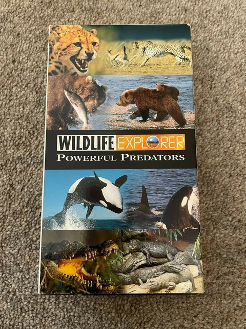 WILDLIFE EXPLORER - Powerful Predators, VHS Video Tape £5.95 - PicClick UK