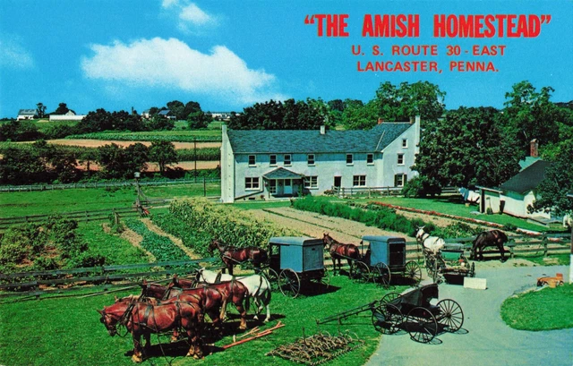 LANCASTER PA PENNSYLVANIA, Amish Homestead, Horse & Buggy, Farm Vintage ...