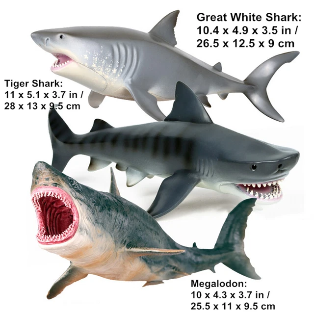 GREAT WHITE SHARK Megalodon Tiger Shark Ocean Animal Figure Collector ...