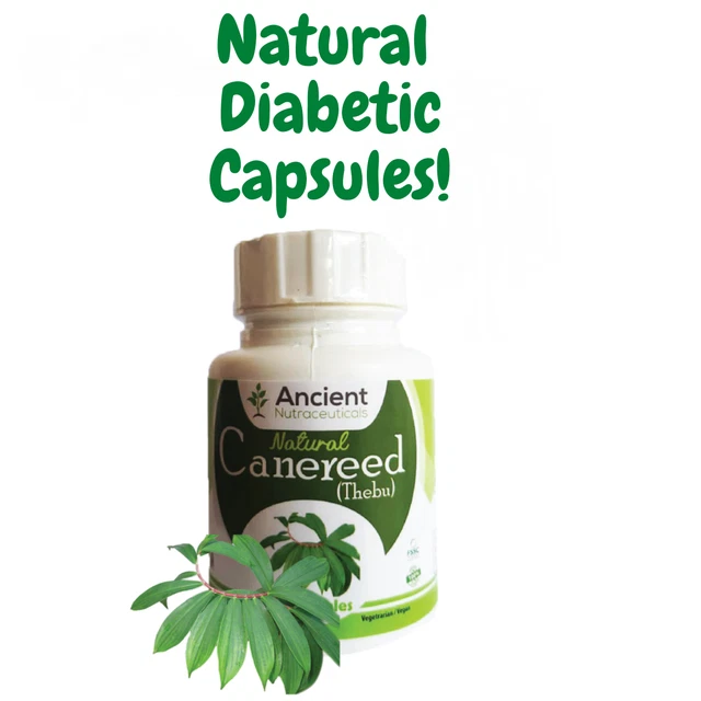 ANCIENT NUTRA 60CAPS 500mg Natural Diabetic Caps Canreed Ignus/Thebu ...