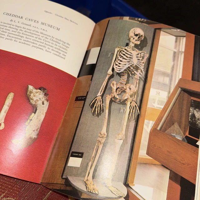 CHEDDAR CAVES OFFICIAL Guidebook 1980s Rare Booklet Illustrated ...