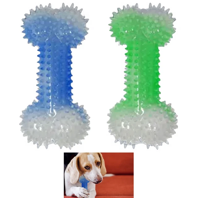 2 LARGE SQUEAKY Spike Dog Bone Chew Toys Glow In Dark Ball Fetch Pet ...