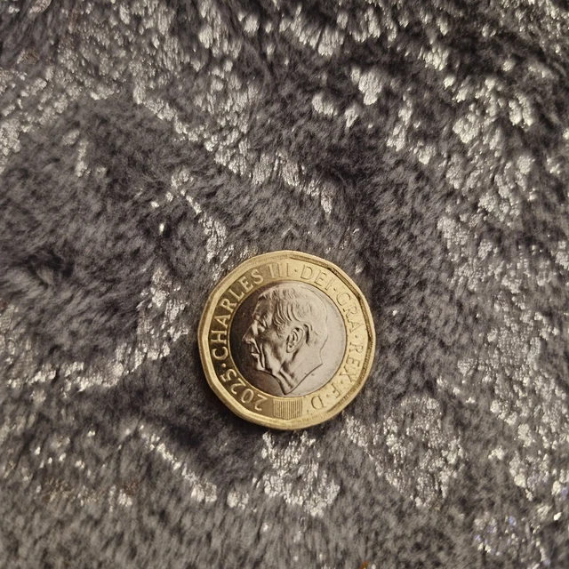 RARE ROYAL MINT 2025 King Charles III Bees 1 Pound Coin. £516.70 ...