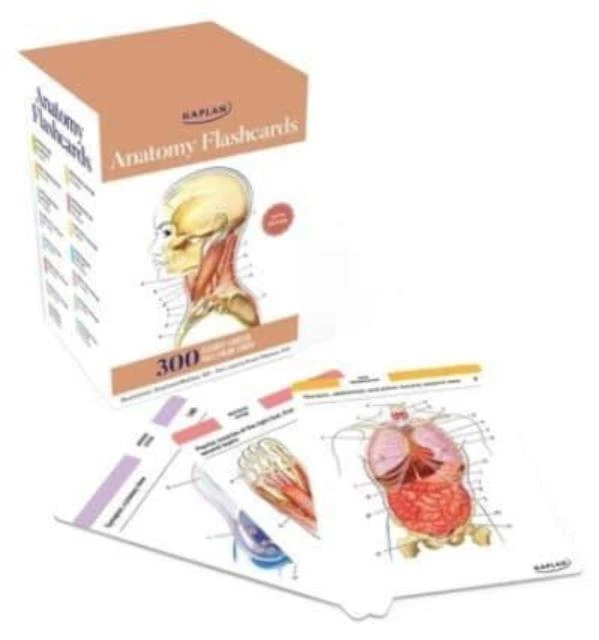 ANATOMY FLASHCARDS 300 Flashcards with Anatomically Precise Drawings ...