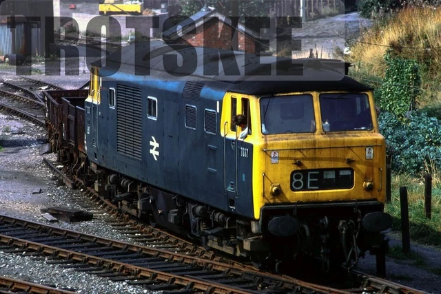 35MM SLIDE BR British Railways Diesel Loco Class 35 D7037 1971 Original ...