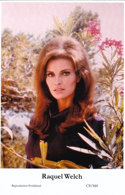 Sexy Raquel Welch Actress Pin Up Photo Postcard Swiftsure Edititon 2000 Eur 199 Picclick It