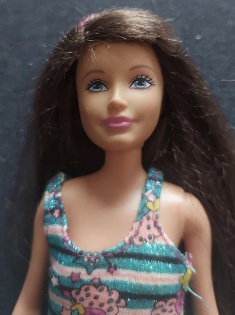 BARBIE MATTEL 2010 Teen Skipper Brown W/ Pink Hair Streak Articulated ...