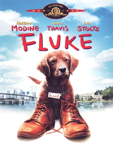 FLUKE, DVD EDIZIONE Italiana Come Nuovo, Matthew Modine EUR 5,99 ...