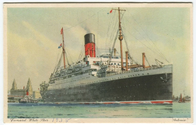 RMS ANTONIA, CUNARD WHITE STAR LINE - Shipping Postcard EUR 8,58 ...