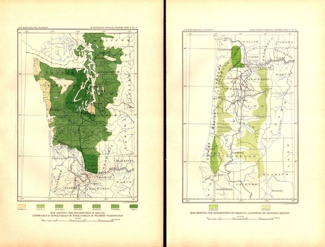 2 MAPS WESTERN WASHINGTON, OREGON, RED FIR, CEDAR Antique forestry map ...