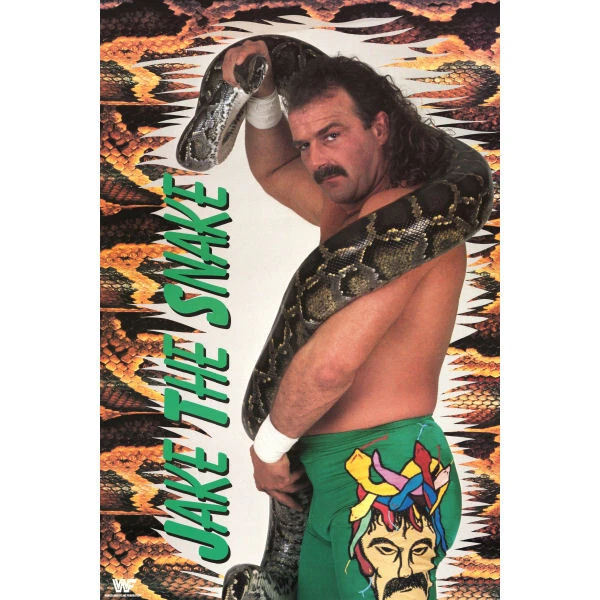 LARGE 16X24 INCH Poster JAKE THE SNAKE ROBERTS WWF WWE WCW AEW WRESTLING *NEW* £16.32 - PicClick UK