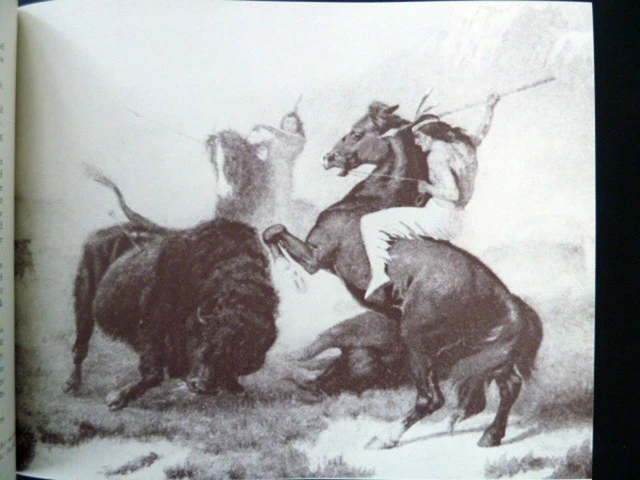 SAGA OF THE Buffalo Book by Cy Martin Great Plains Indian Hunting Bison ...