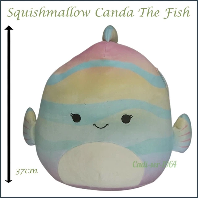 SQUISHMALLOWS FISH PLUSH Canda The Rainbow Fish NEW 37cm Squishmallow ...