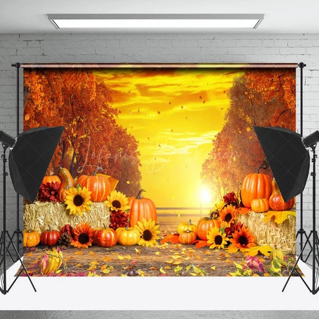 SHINING SUNSET PUMPKIN Sunflower Backdrop Photo Booth $37.79 - PicClick AU