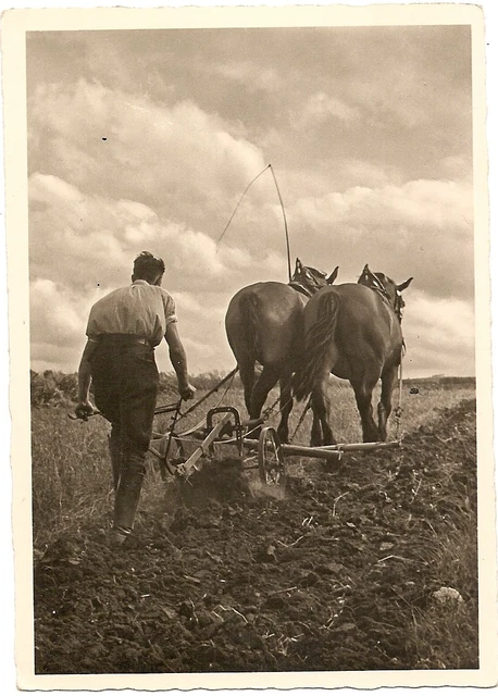 BAUER MIT PFERD und Pflug, Landwirtschaft, Ackerbau, ca. 1940 EUR 1,00 ...