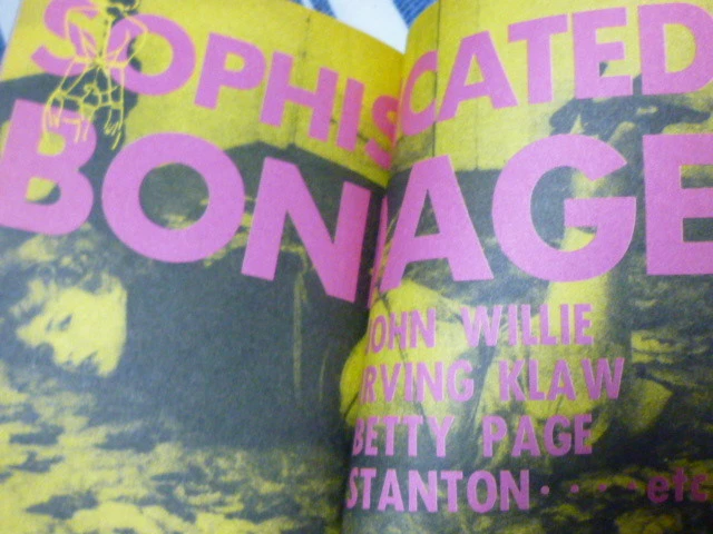 Classic Art Collection Bondage Comics Fashion Irving Klaw Betty Page £